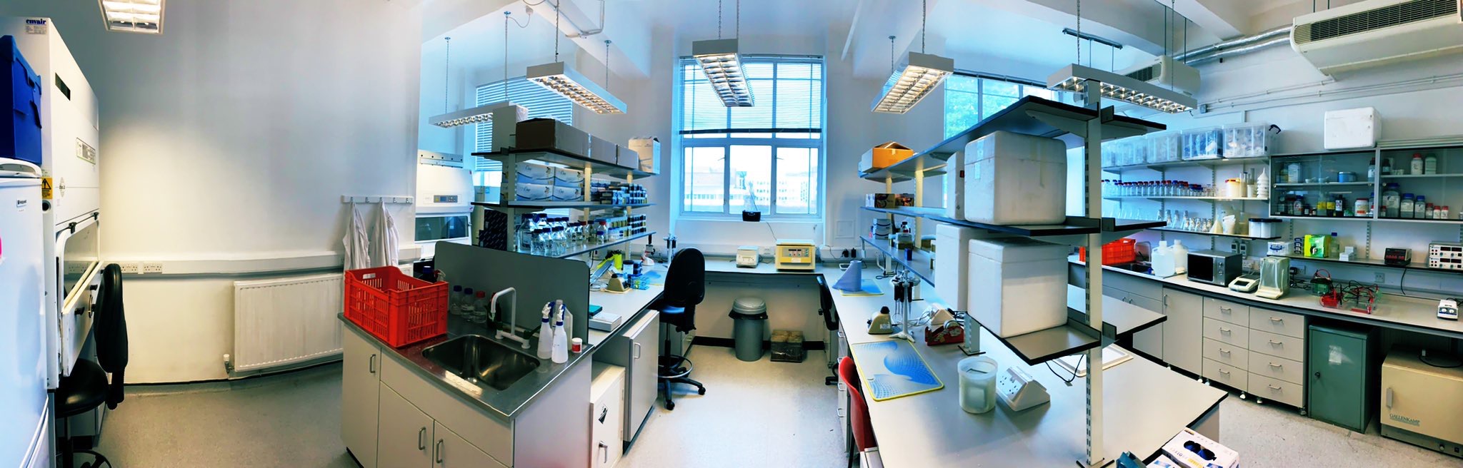 Allen Laboratory @LSHTM | Virology research group interested in human ...